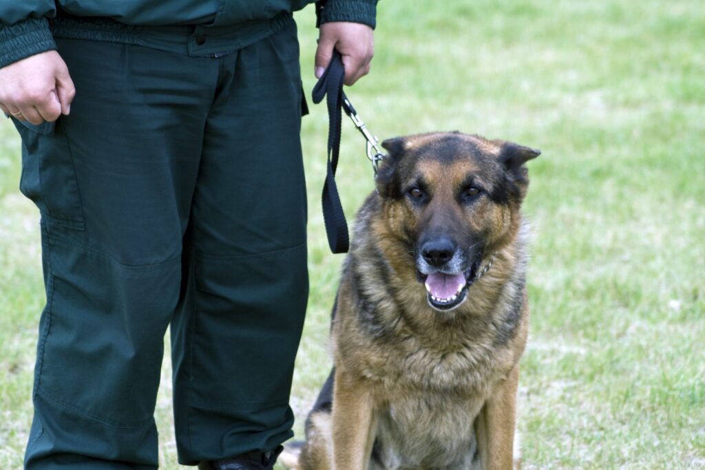 Dog Unit | Talon Security